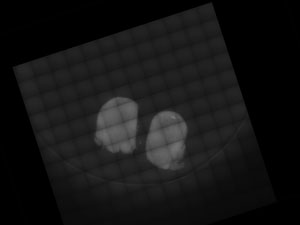 Whole-brain map of long-range inputs to GABAergic interneurons in the mouse medial prefrontal cortex